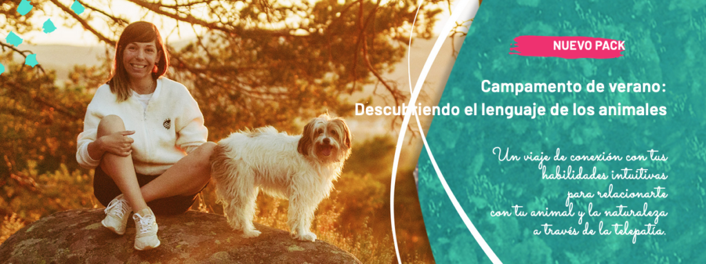 ¿Qué es la comunicación telepática con animales y cómo funciona ... ¿Qué es la comunicación telepática con animales y cómo funciona ...